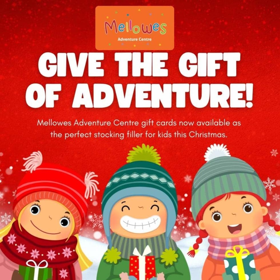 Mellowes Adventure Centre and Childcare Centre | Meath Westmeath